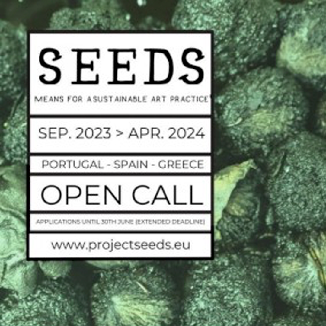SEEDS – MEANS FOR A SUSTAINABLE ART PRACTICE – Energia Letiva